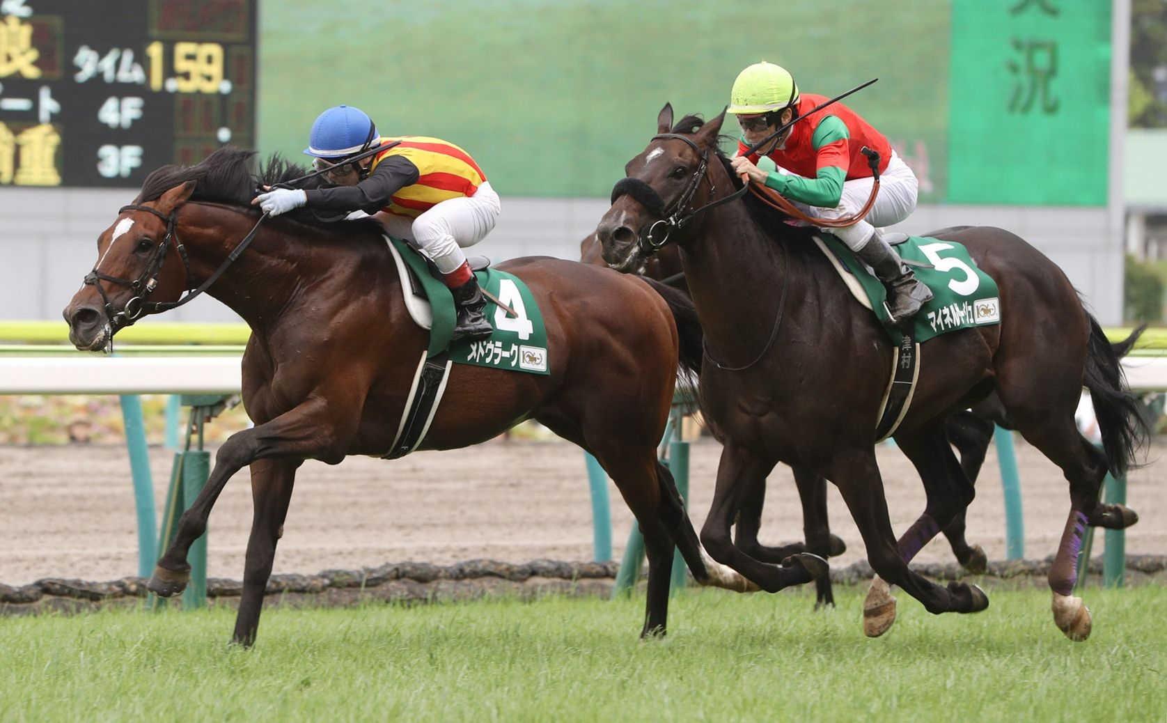 今週の重賞レース【七夕賞 G3】追い切り情報2021 当たると話題の競馬予想！