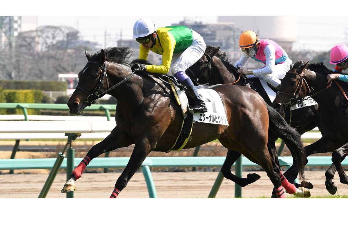 今週の重賞レース【青葉賞g2】2022 当たると話題の競馬予想！