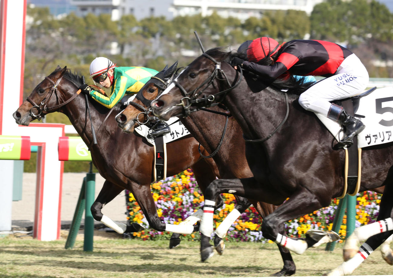 今週の重賞レース無料予想【中京記念g3】2022 当たると話題の競馬予想！